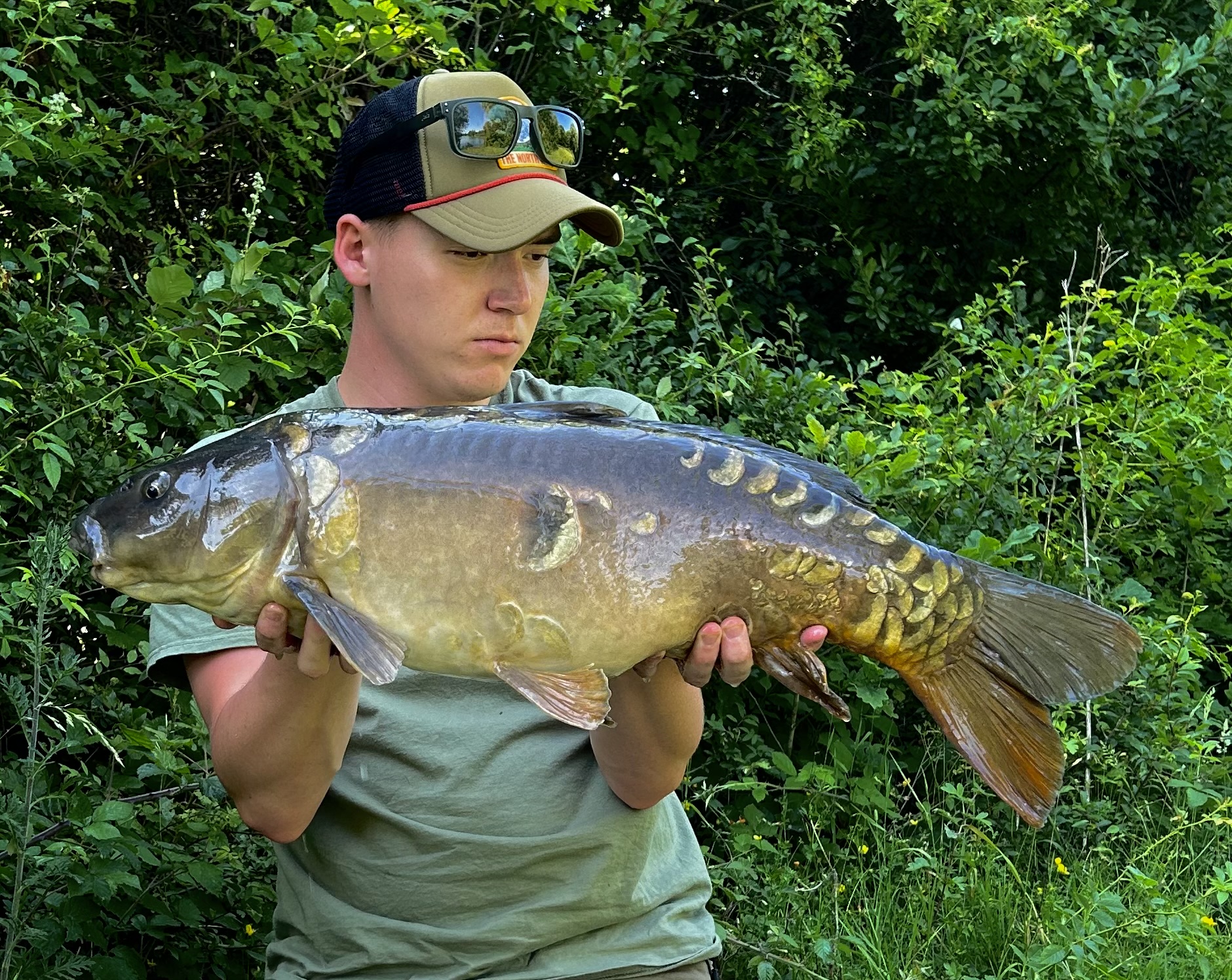 Mirror carp | Total Carp